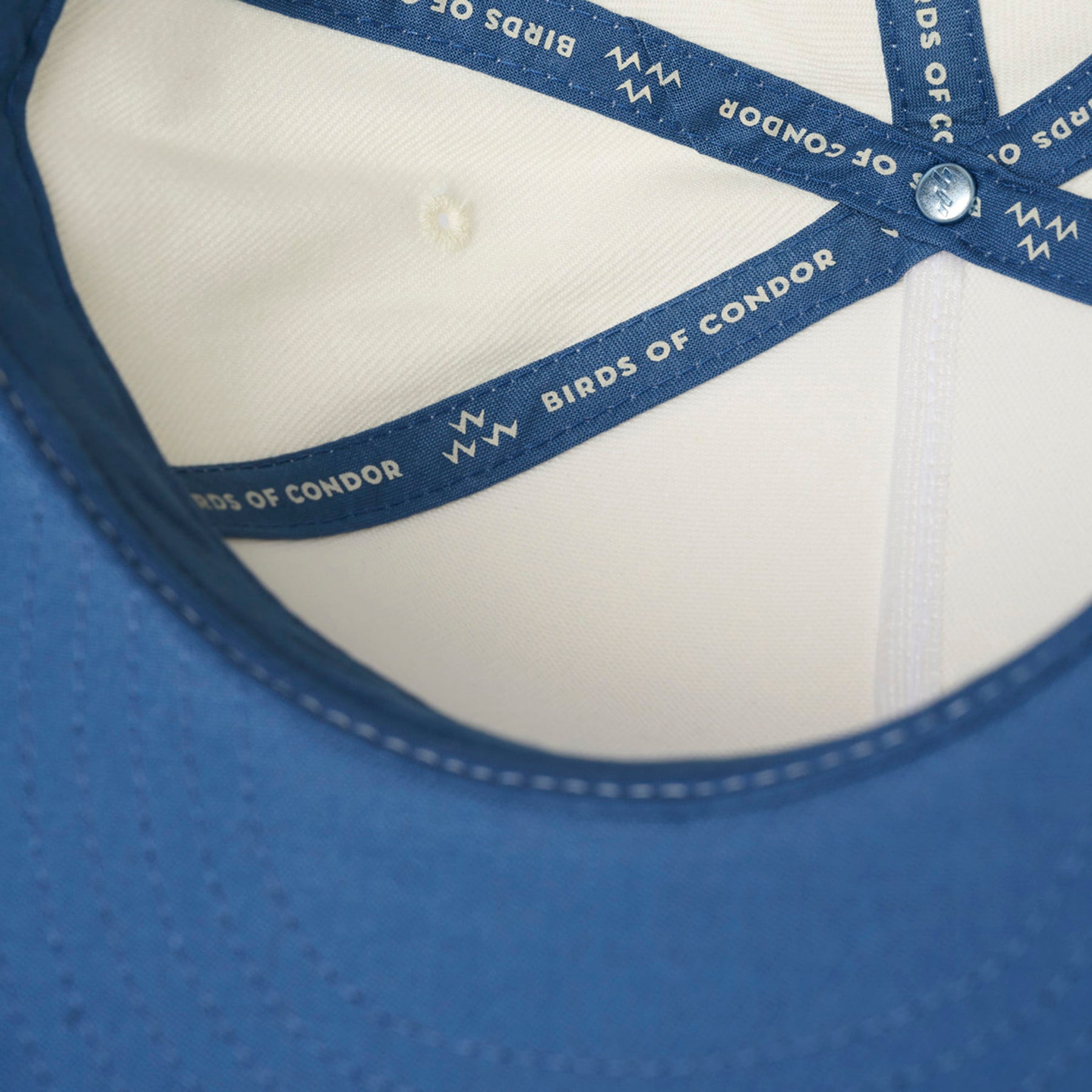 Snapbacks | Birds of Condor Golf Hats