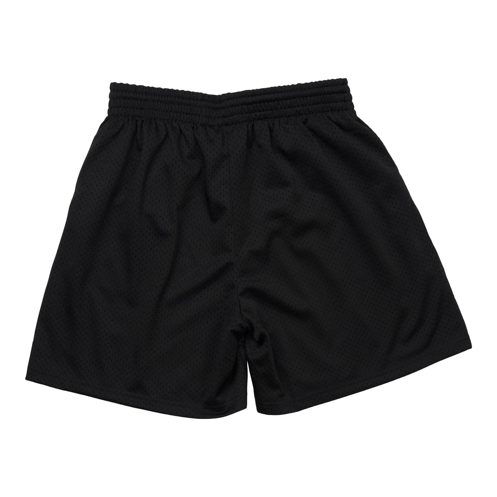 Swing Easy Shorts | Birds of Condor