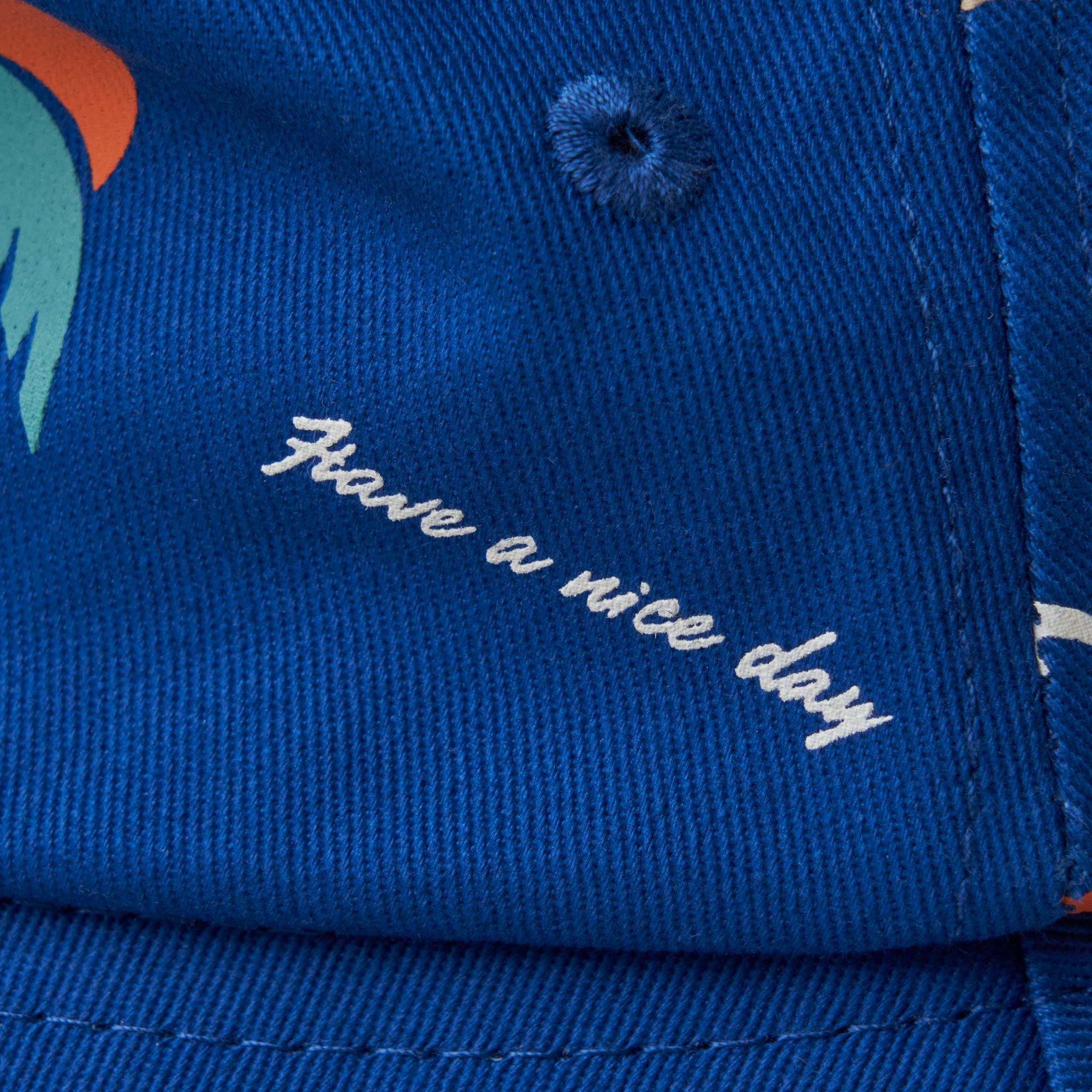 Fly Condor Bucket Hat | Birds of Condor